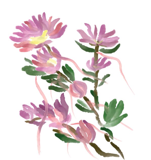 COMPUTER SCIENCE: Tools for the artist in all of us – Discovery ...